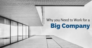 Why you Need to Work for a Big Company: Top 16 Reasons - Wisestep