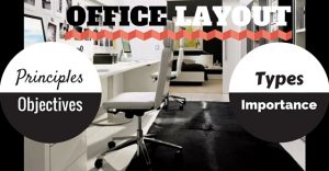 Office Layout: Types, Importance, Principles and Objectives - Wisestep