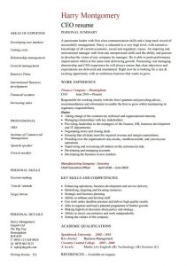 24 Award Winning CEO Resume Templates - Wisestep