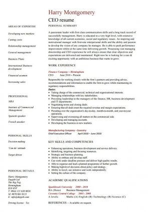 24 Award Winning CEO Resume Templates - Wisestep