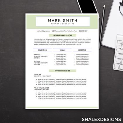 24 Best Sample Executive Resume Templates - Wisestep