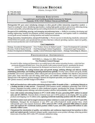 24 Award Winning CEO Resume Templates - Wisestep