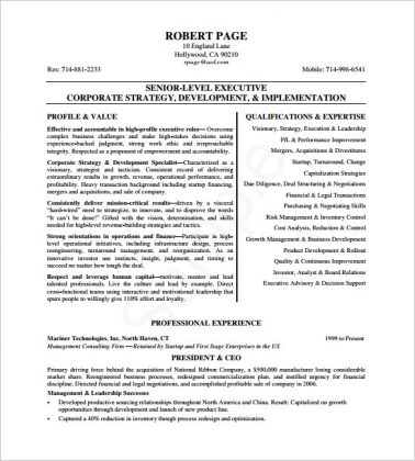 24 Award Winning CEO Resume Templates - Wisestep
