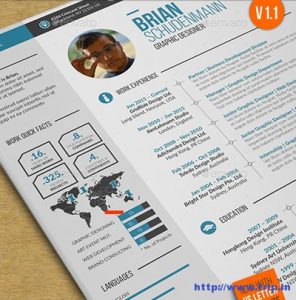 29 Awesome Infographic Resume Templates You Want to Steal - Wisestep