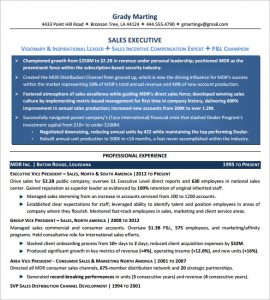 24 Best Sample Executive Resume Templates - Wisestep