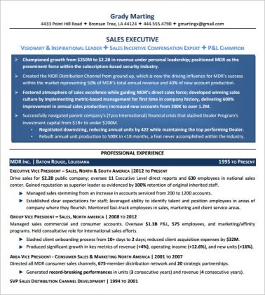 24 Best Sample Executive Resume Templates - Wisestep