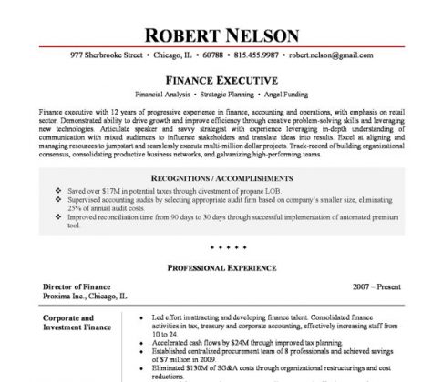 24 Best Sample Executive Resume Templates - Wisestep