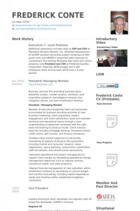 24 Best Sample Executive Resume Templates - Wisestep