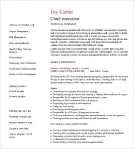 24 Best Sample Executive Resume Templates - Wisestep