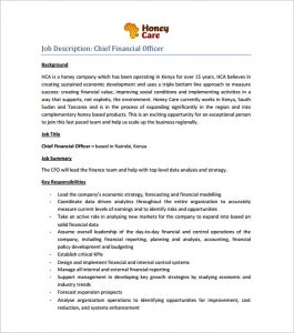 24 Award Winning CEO Resume Templates - Wisestep