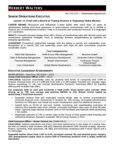 24 Award Winning CEO Resume Templates - Wisestep