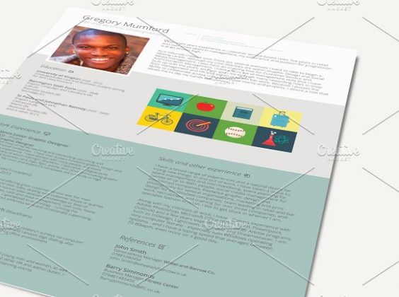 24 Award Winning CEO Resume Templates - Wisestep