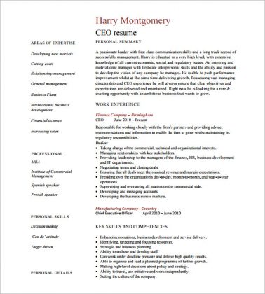 24 Award Winning CEO Resume Templates - Wisestep