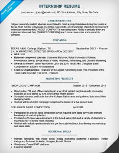17 Best Internship Resume Templates to Download for Free - Wisestep