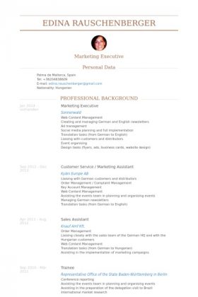 24 Best Sample Executive Resume Templates - Wisestep