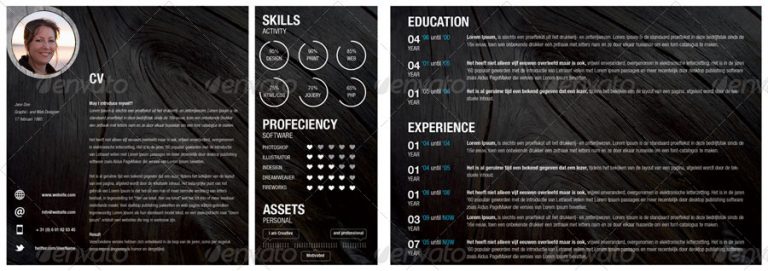 21 Best Resume Portfolio Templates to Download Free - Wisestep