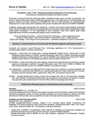 24 Award Winning CEO Resume Templates - Wisestep