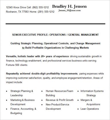 24 Best Sample Executive Resume Templates - Wisestep
