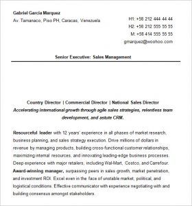 24 Best Sample Executive Resume Templates - Wisestep