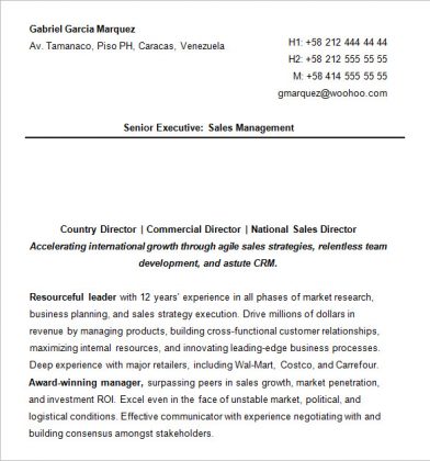 24 Best Sample Executive Resume Templates - Wisestep