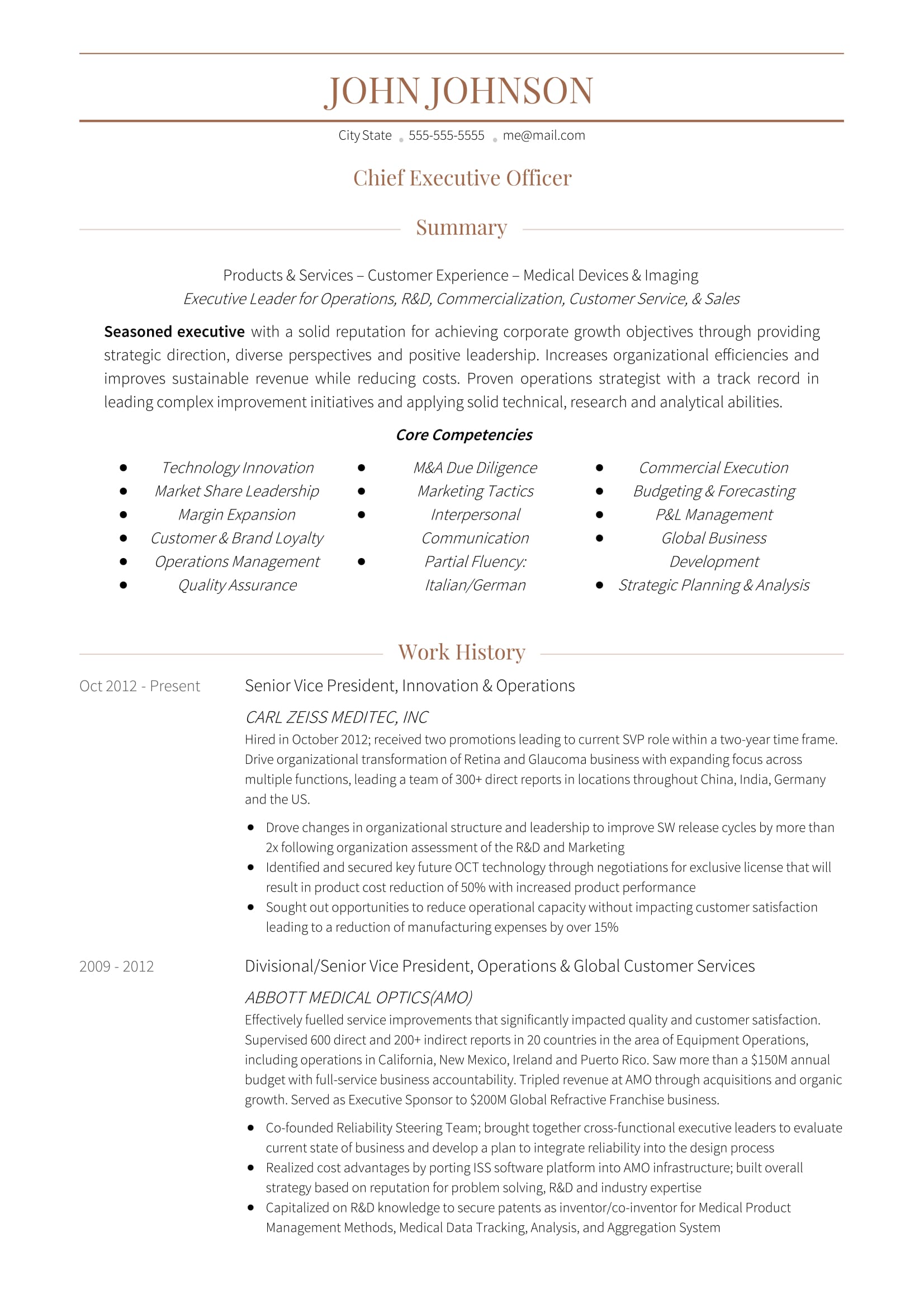 24 Award Winning CEO Resume Templates Wisestep