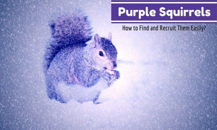 Purple Squirrels: How to Find and Recruit Them Easily? - Wisestep