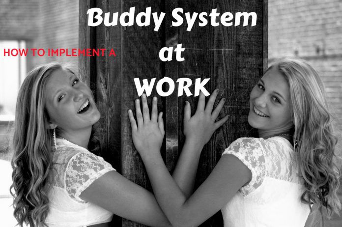 How to Implement a Buddy System at Work? - Wisestep