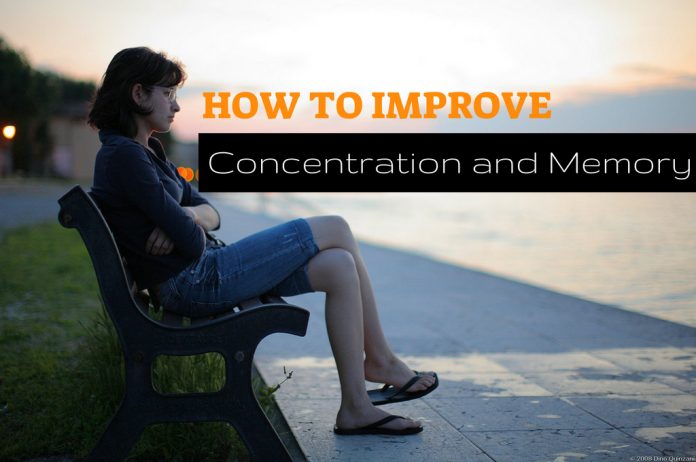 How to Improve Concentration and Memory Easily? - Wisestep